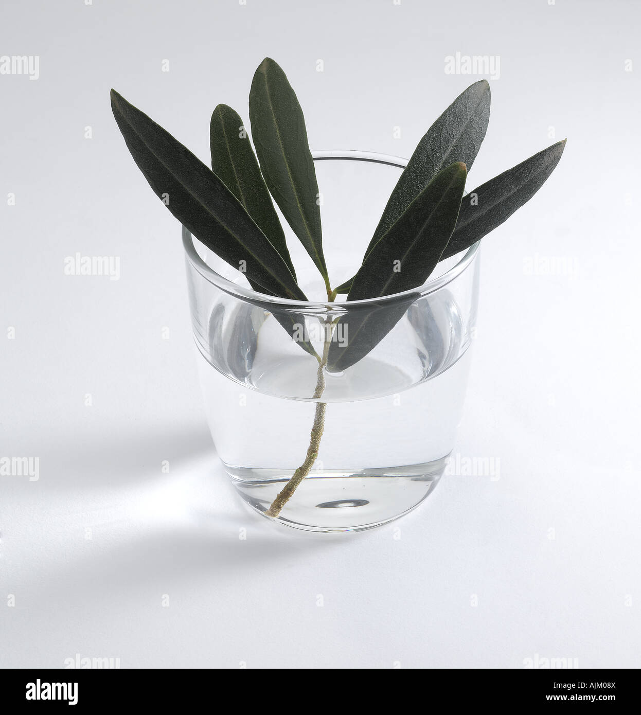 Cutting in water Stock Photo - Alamy