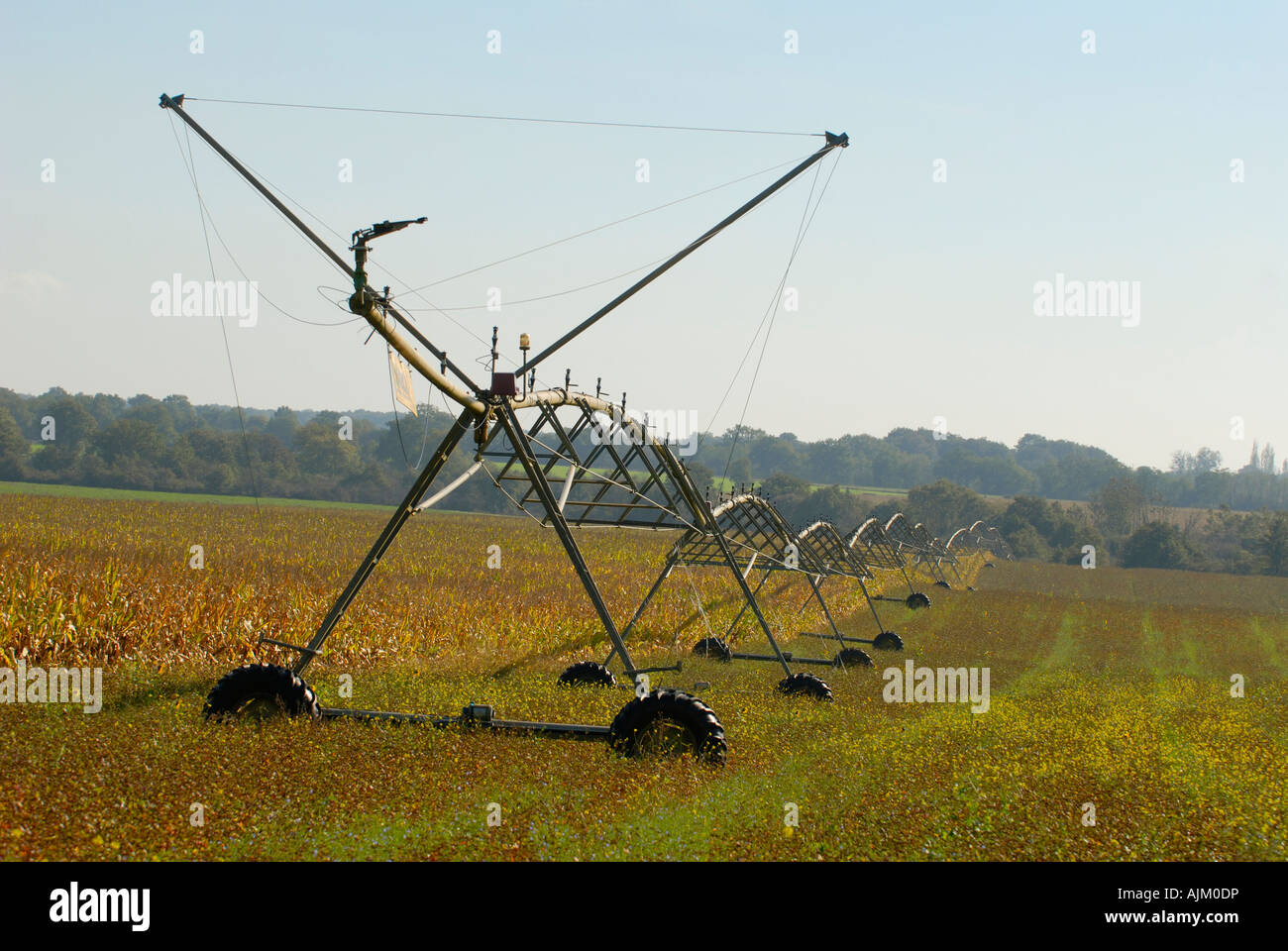 Maize / sweet corn watering equipment, Vienne, France Stock Photo - Alamy