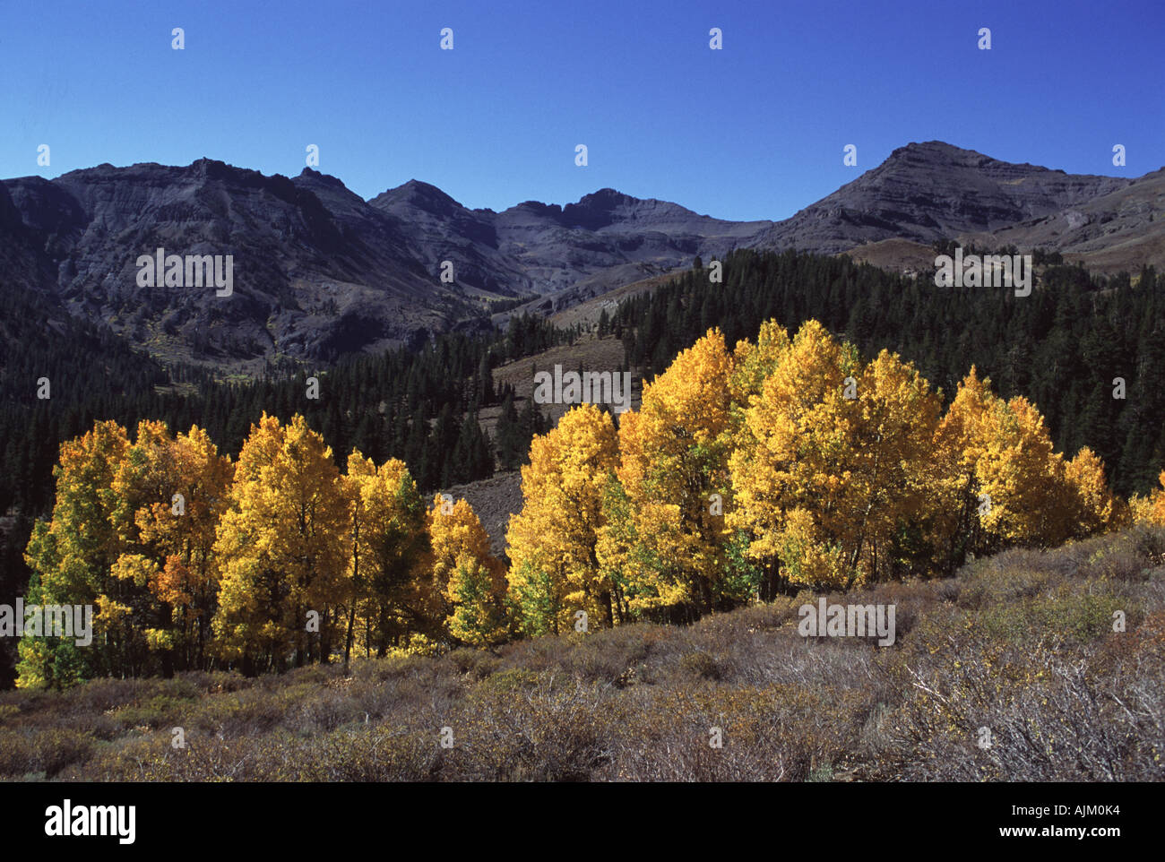 Sonora pass hi-res stock photography and images - Alamy