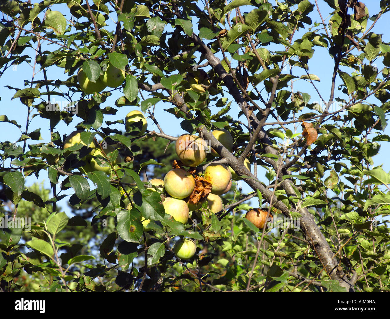 China tombs Cut Out Stock Images & Pictures - Alamy