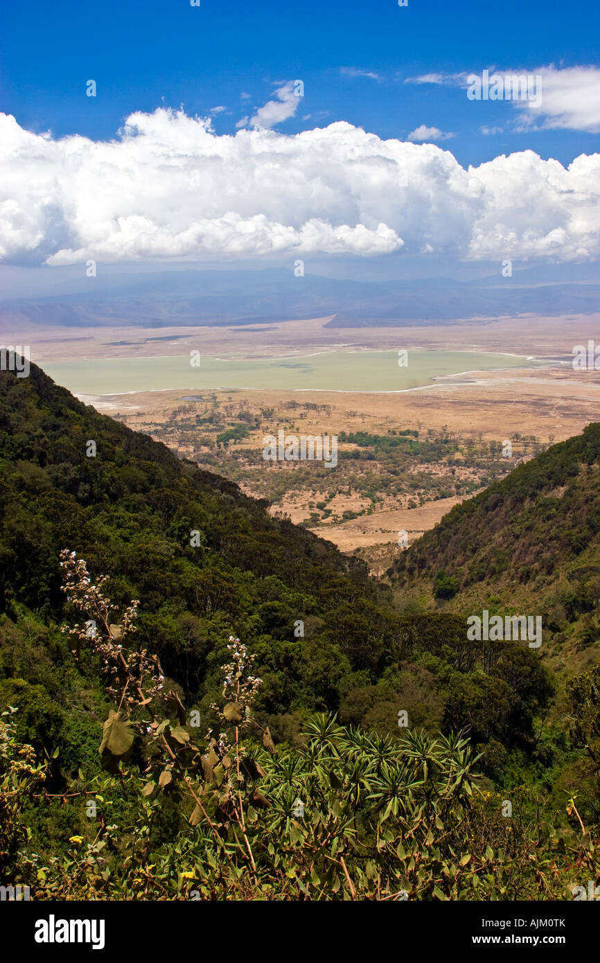 Africa tanzania view lake magadi hi-res stock photography and images ...