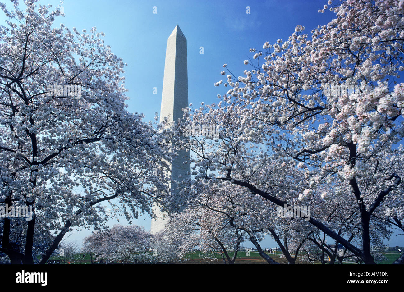 Washington dc landmarks in spring hi-res stock photography and images ...