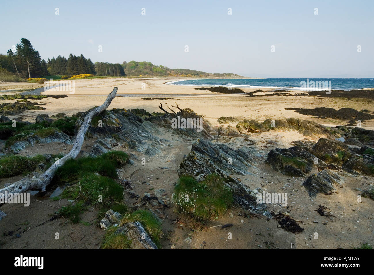 Saddell hi-res stock photography and images - Alamy