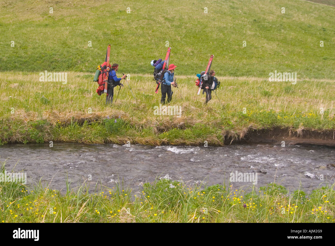 Three skiers hiking in grass on Umnak Island inthe Aleutian Islands ...