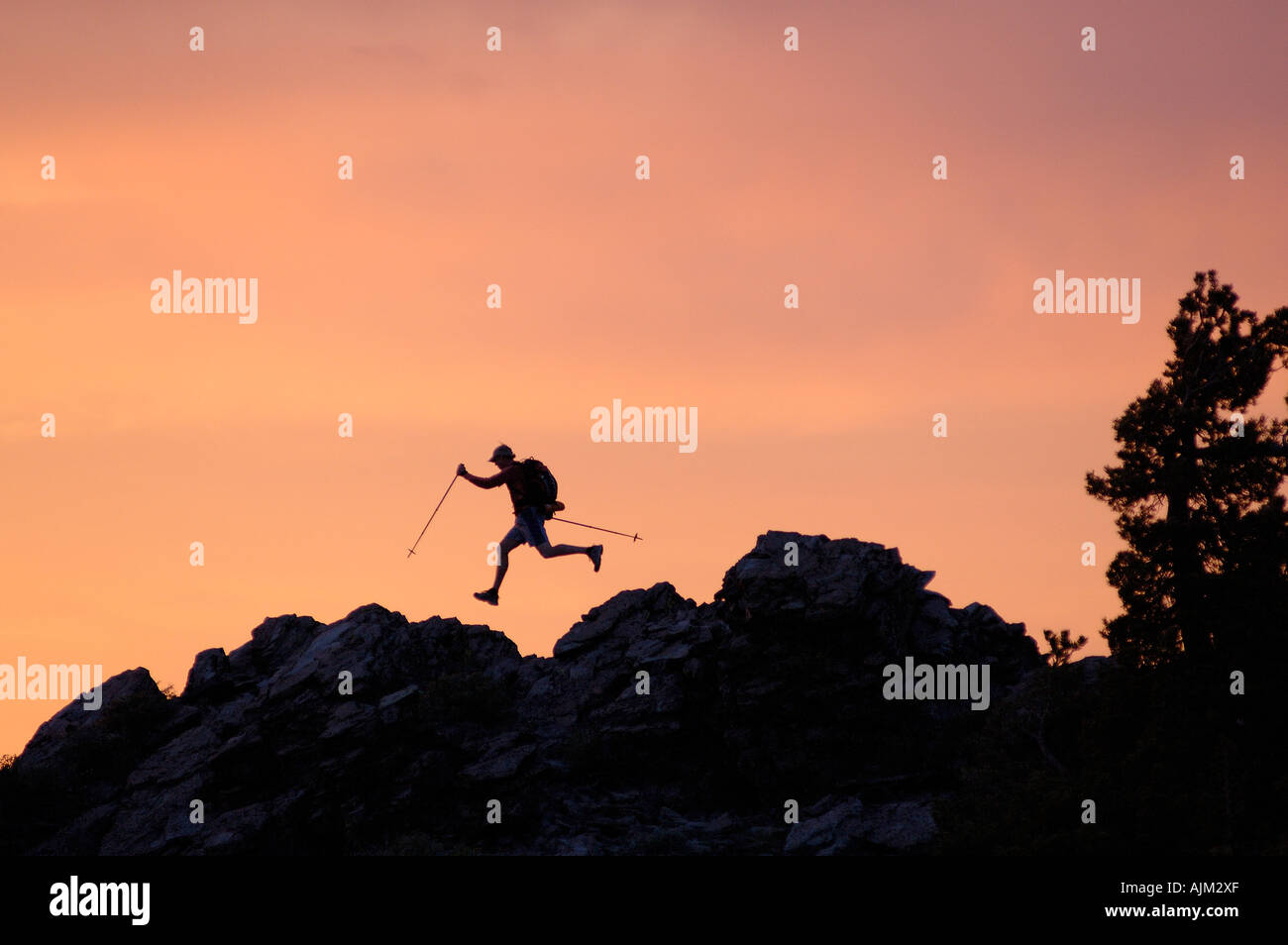 A man running on a rocky ridge on the Tahoe Rim Trail at sunset Stock ...