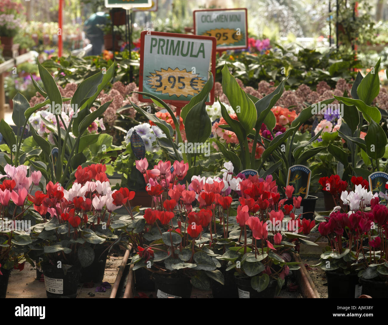 Potted plant display sign hi-res stock photography and images - Alamy
