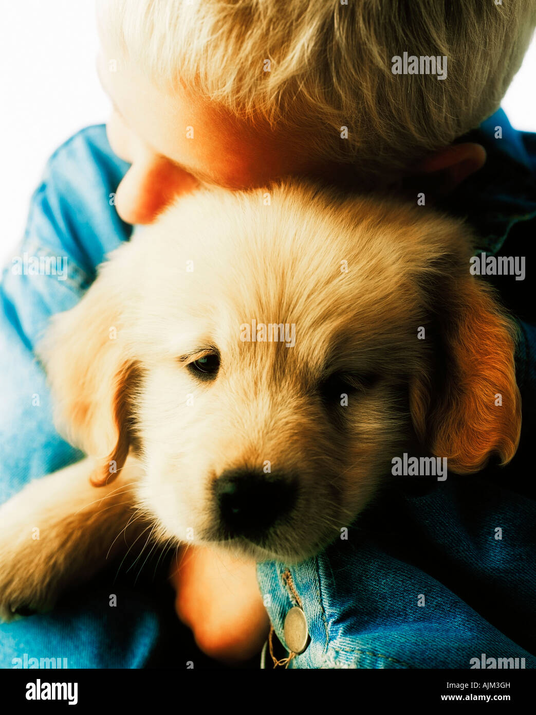 Boy hugging puppies hi-res stock photography and images - Alamy