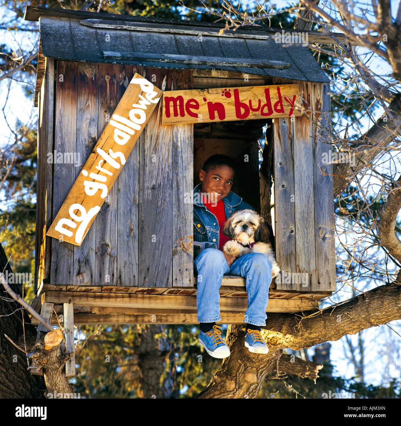 Boy hanging out in treehouse with dog Stock Photo - Alamy