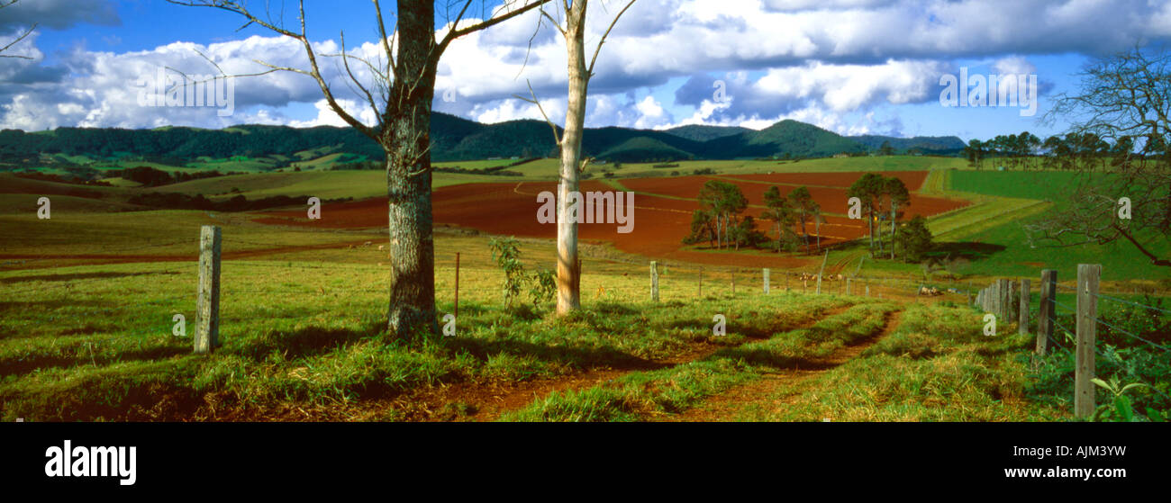Rolling fields of rich volcanic soil make the Dorrigo escarpment and ...
