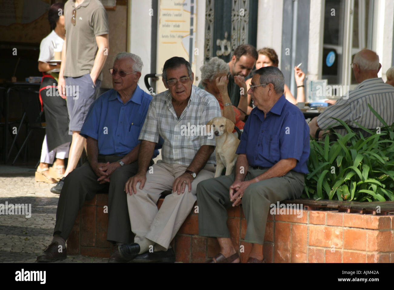 Old men and a dog Stock Photo - Alamy