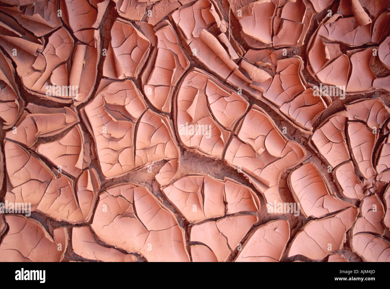Dried cracked mud Colorado Plateau Utah Stock Photo - Alamy