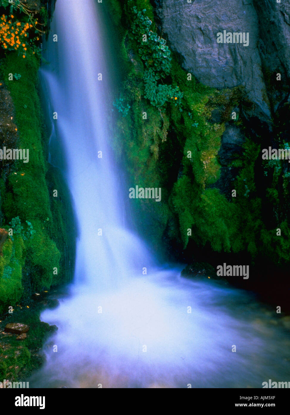 Water falling at Stewart Cascades waterfall in Mt Timpanogos Wilderness ...