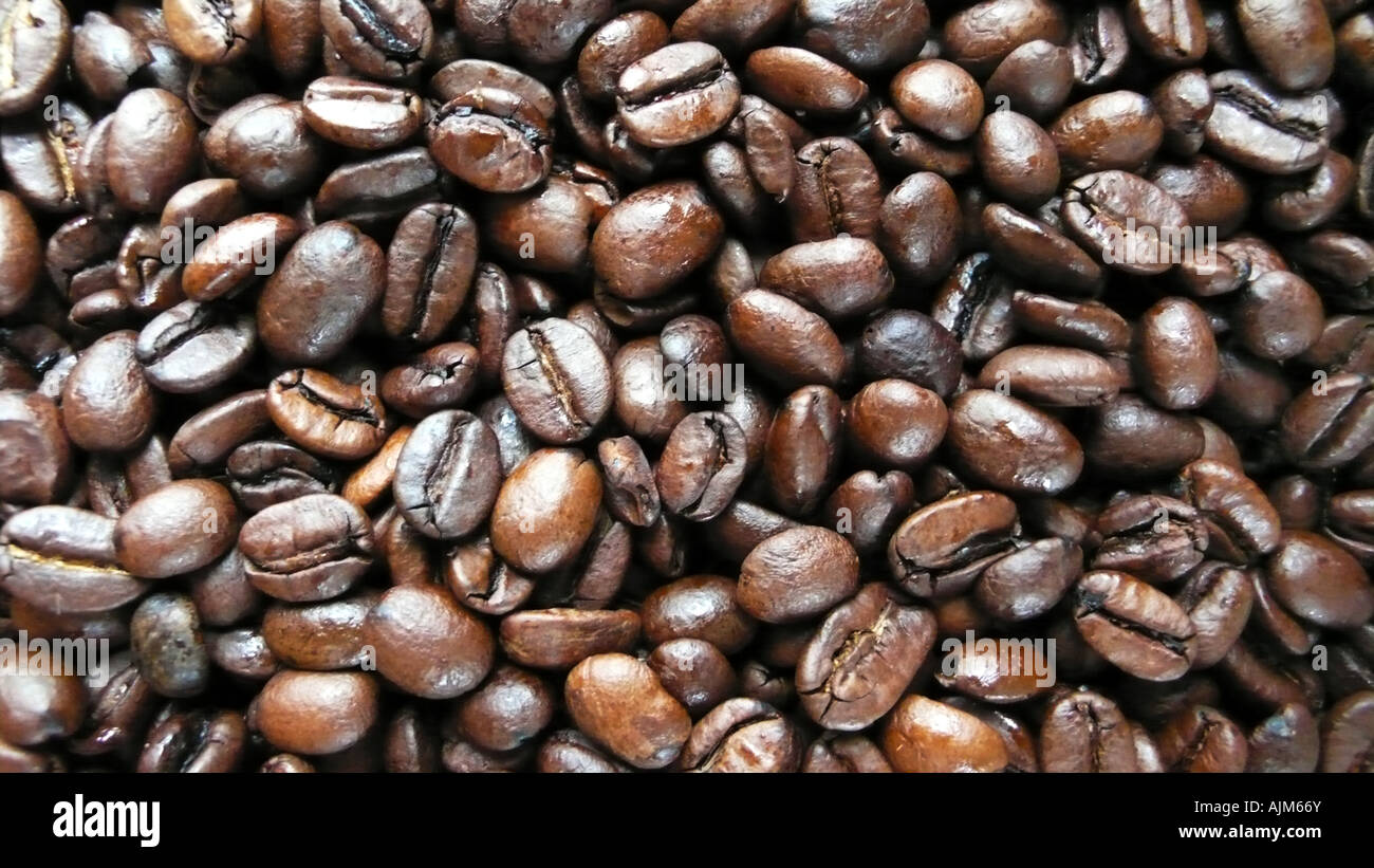 coffee (Coffea spec.), roasted coffee beans Stock Photo - Alamy