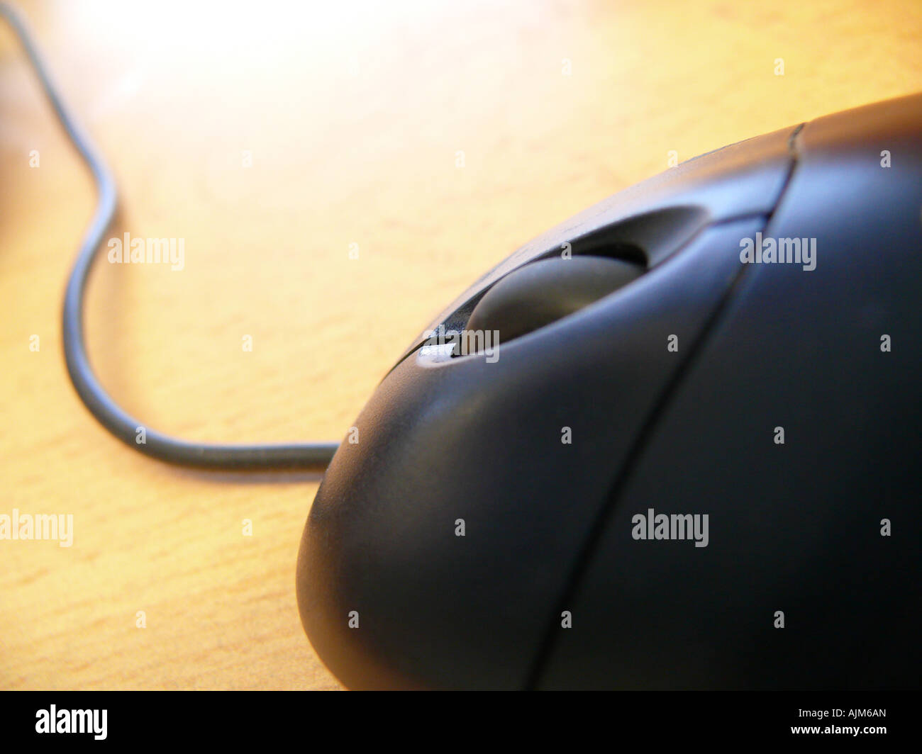 Minute mouse hi-res stock photography and images - Alamy
