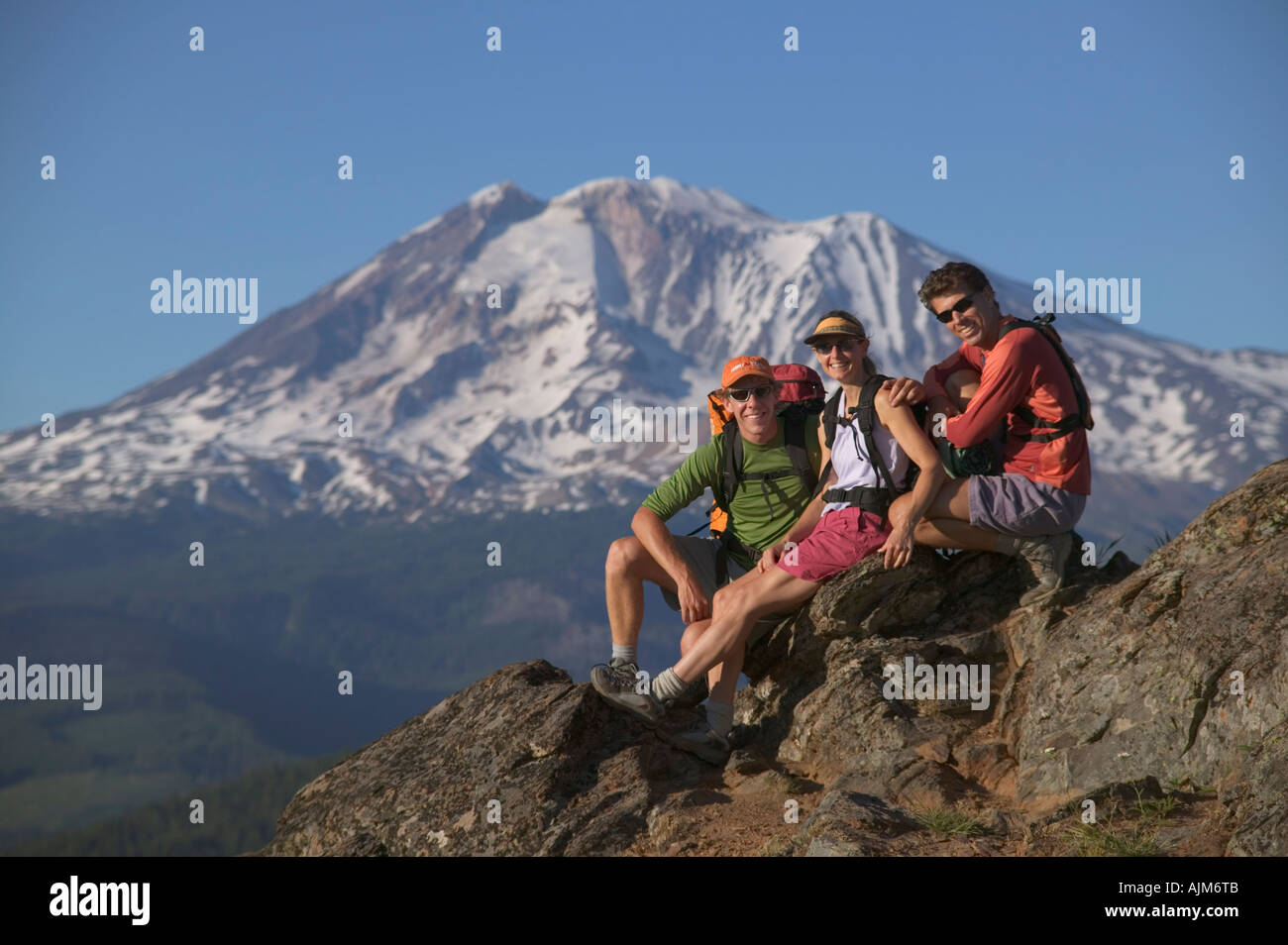 1195bsp331x2357 hi-res stock photography and images - Alamy