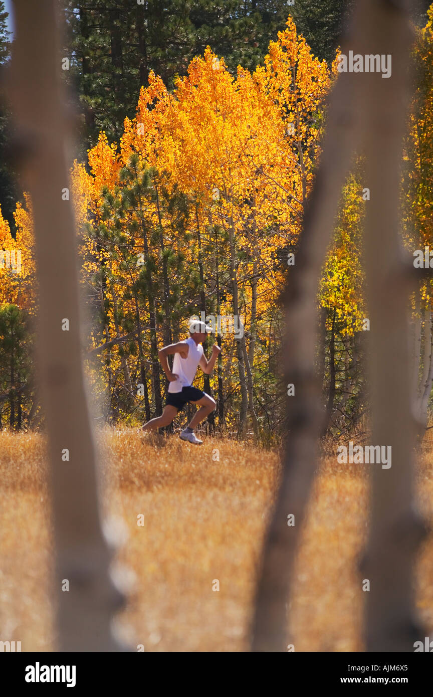 A man running near truckee hi-res stock photography and images - Alamy