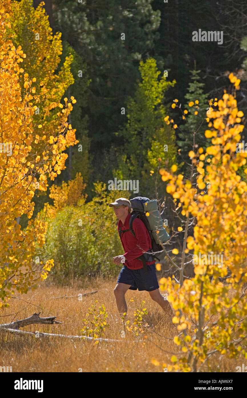 Cascade designs hi-res stock photography and images - Alamy