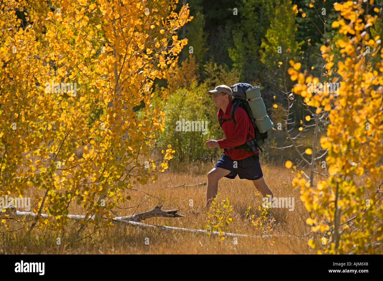 1644bsp331x6358 hi-res stock photography and images - Alamy