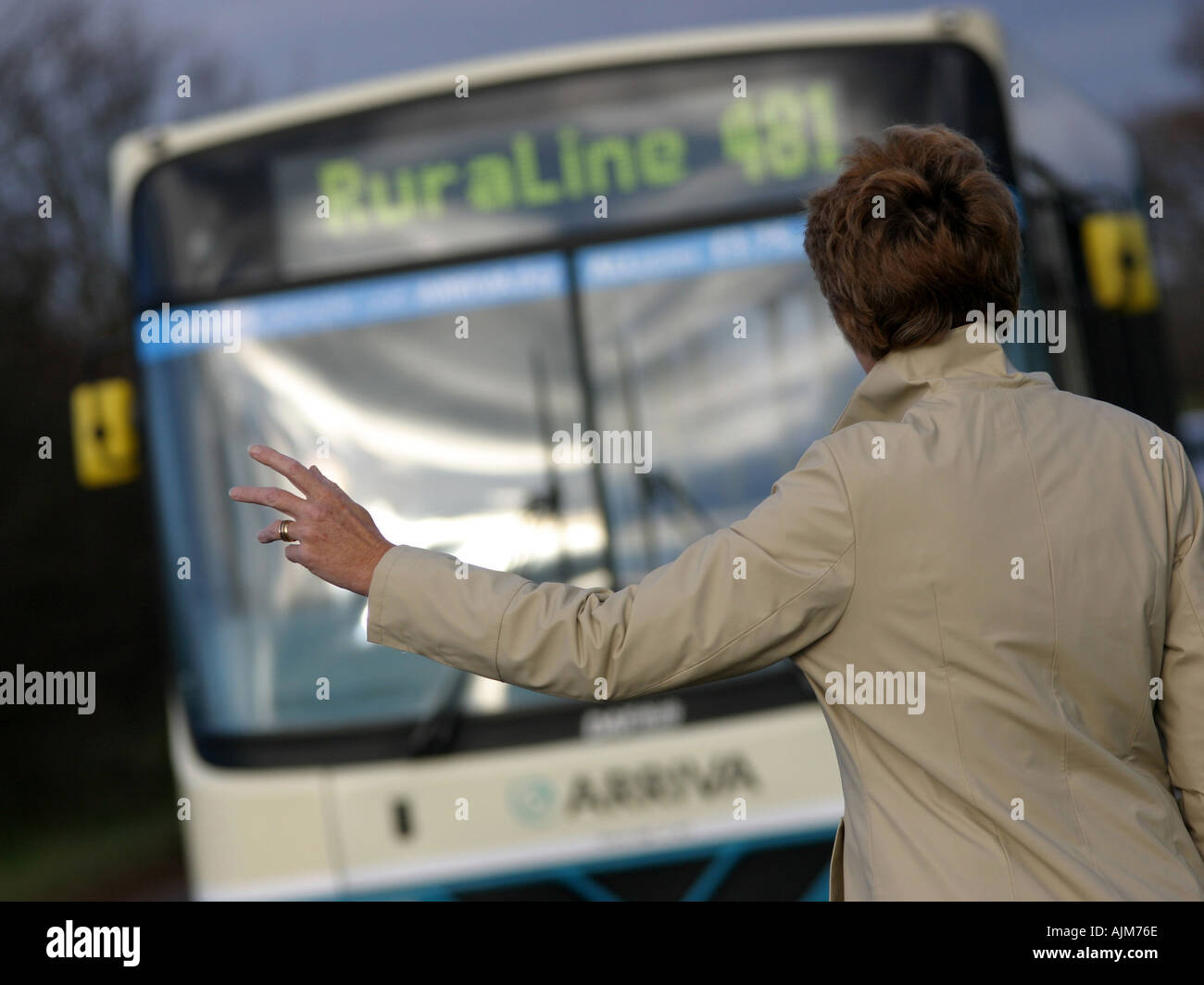 Rural bus route Woman hailing a bus to stop Stock Photo - Alamy
