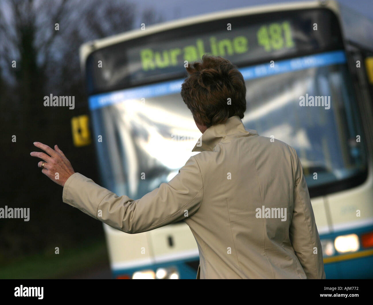 Rural bus route Woman hailing a bus to stop Stock Photo - Alamy