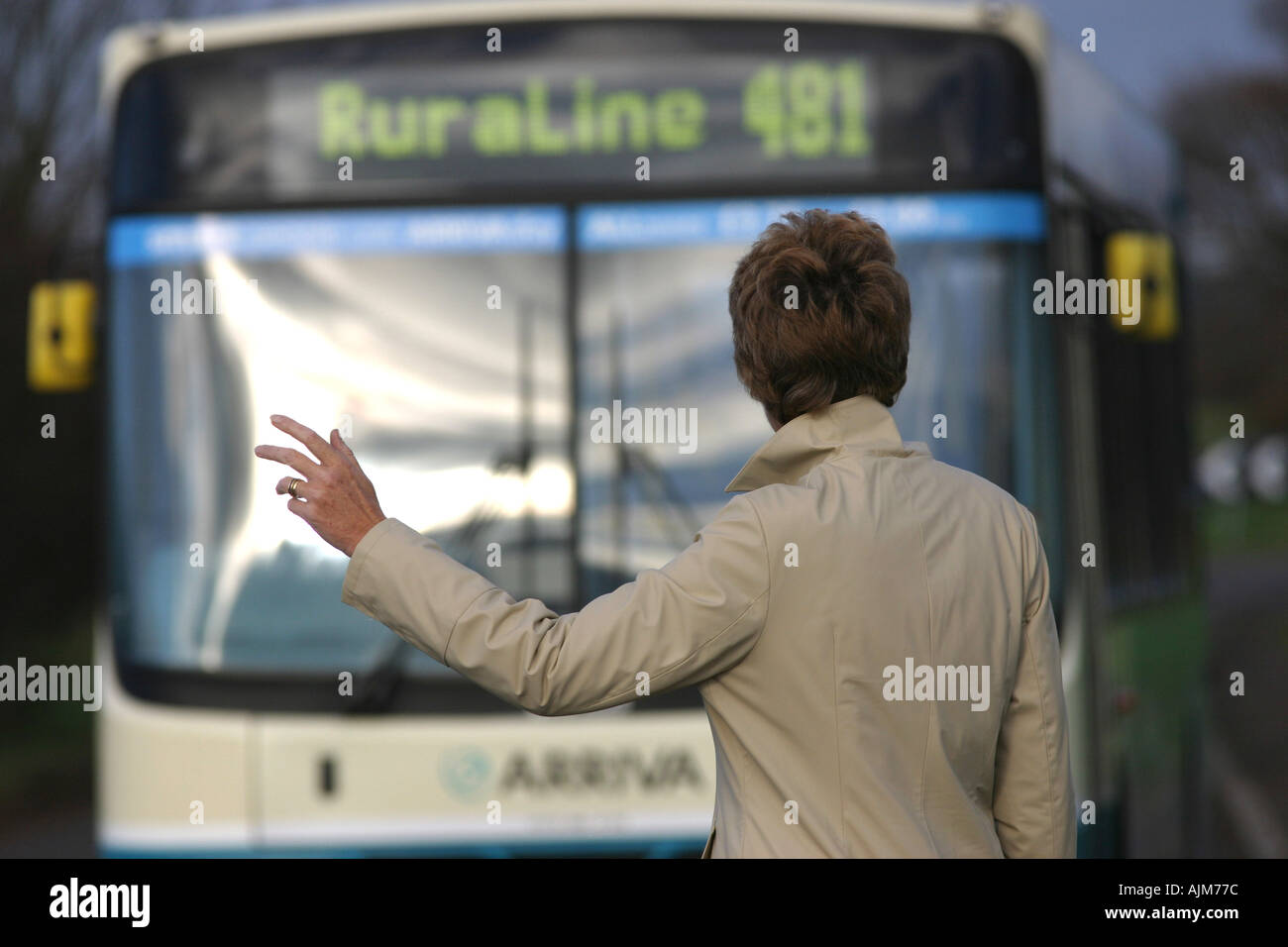 Rural bus route Woman hailing a bus to stop Stock Photo - Alamy