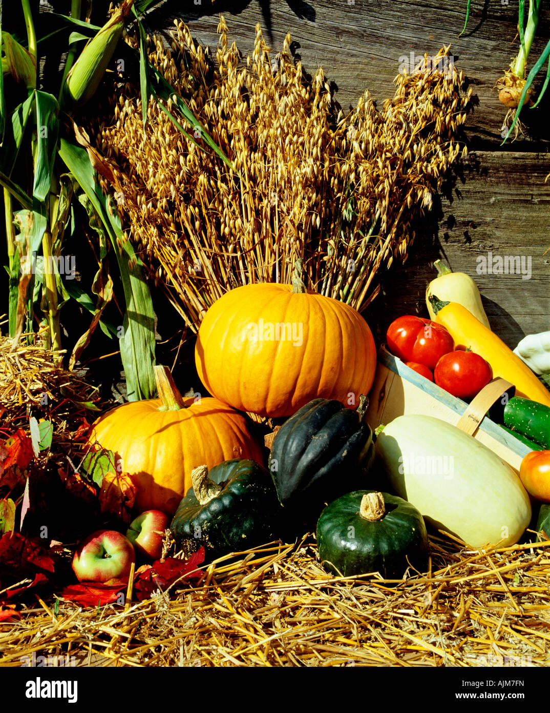 Seasons bounty hi-res stock photography and images - Alamy