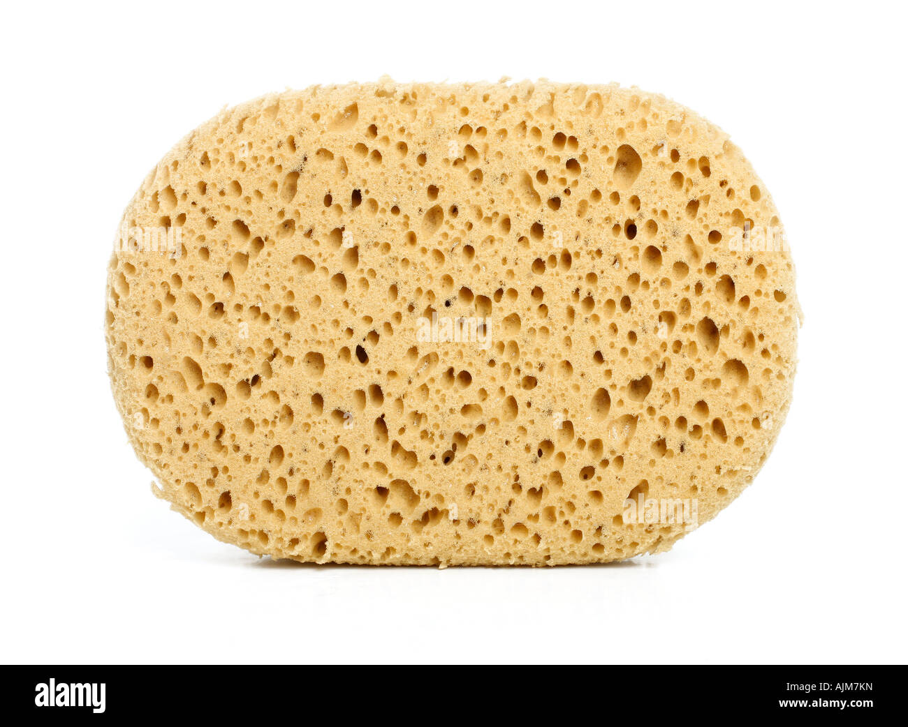 Sponge isolated on white Stock Photo - Alamy