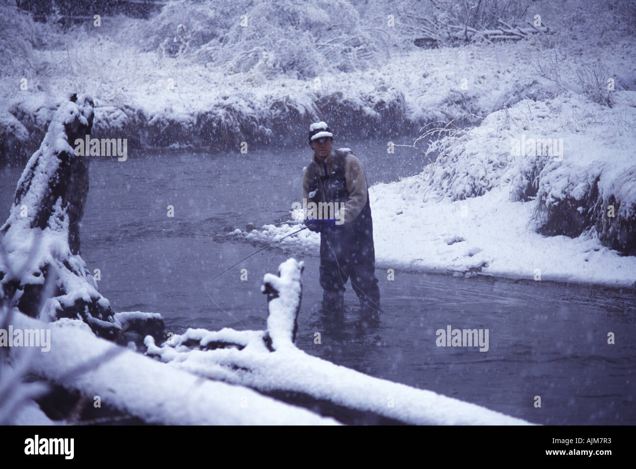 2452bspfis hi-res stock photography and images - Alamy