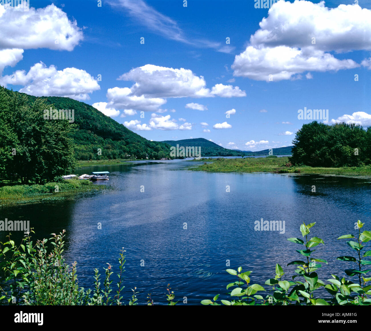 Summer river landscape Stock Photo - Alamy