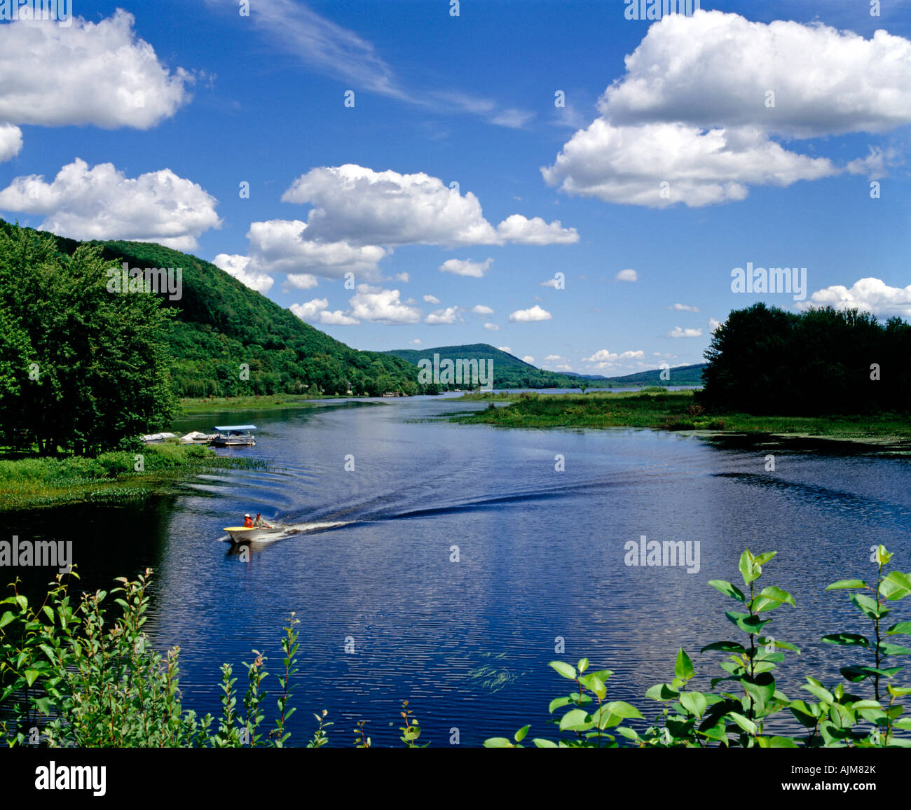 Summer river landscape Stock Photo - Alamy