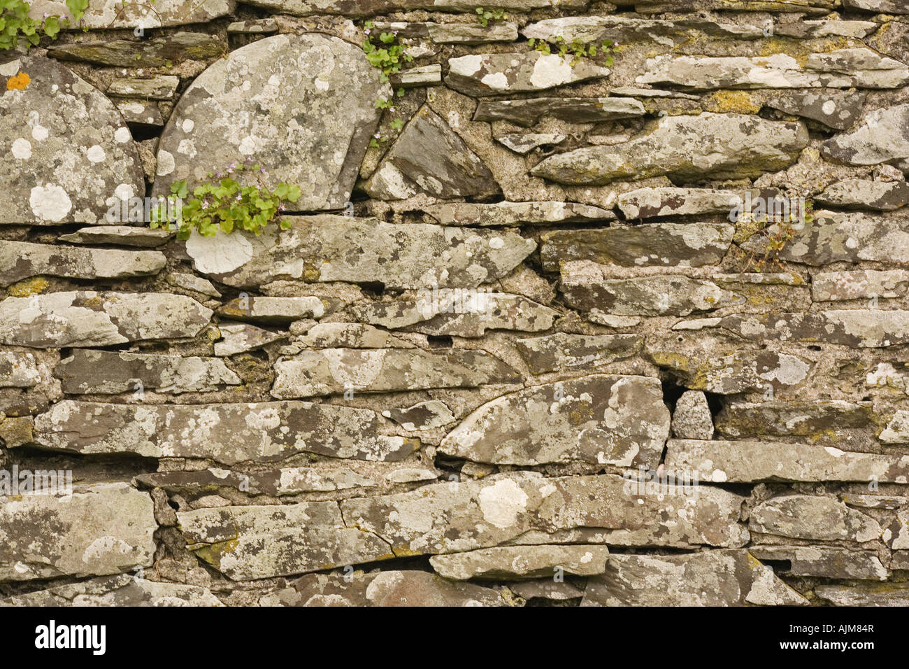 Pointed pointing boundary scotland hi-res stock photography and images ...