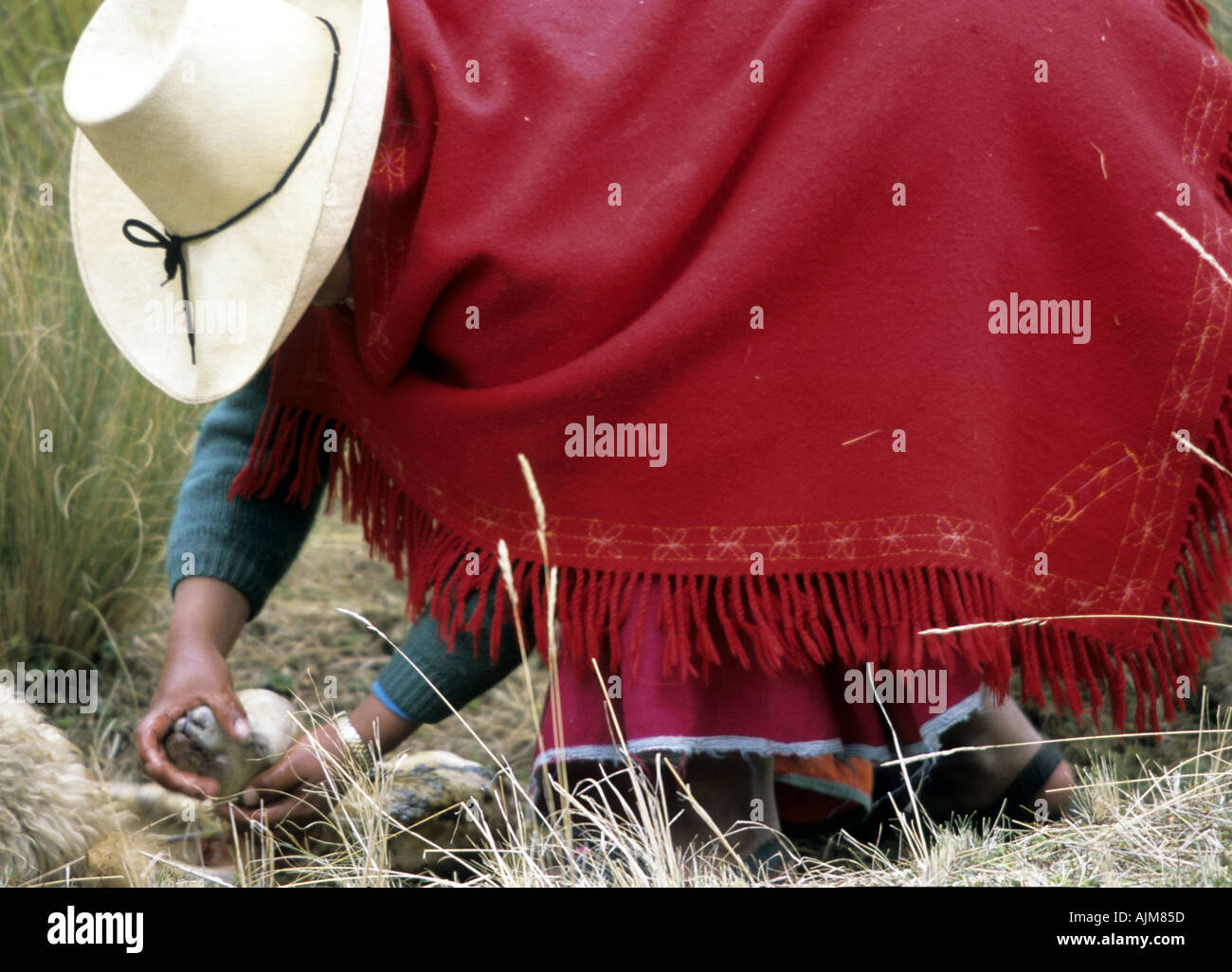 Peru Andes South America Latin America shepherd Stock Photo - Alamy