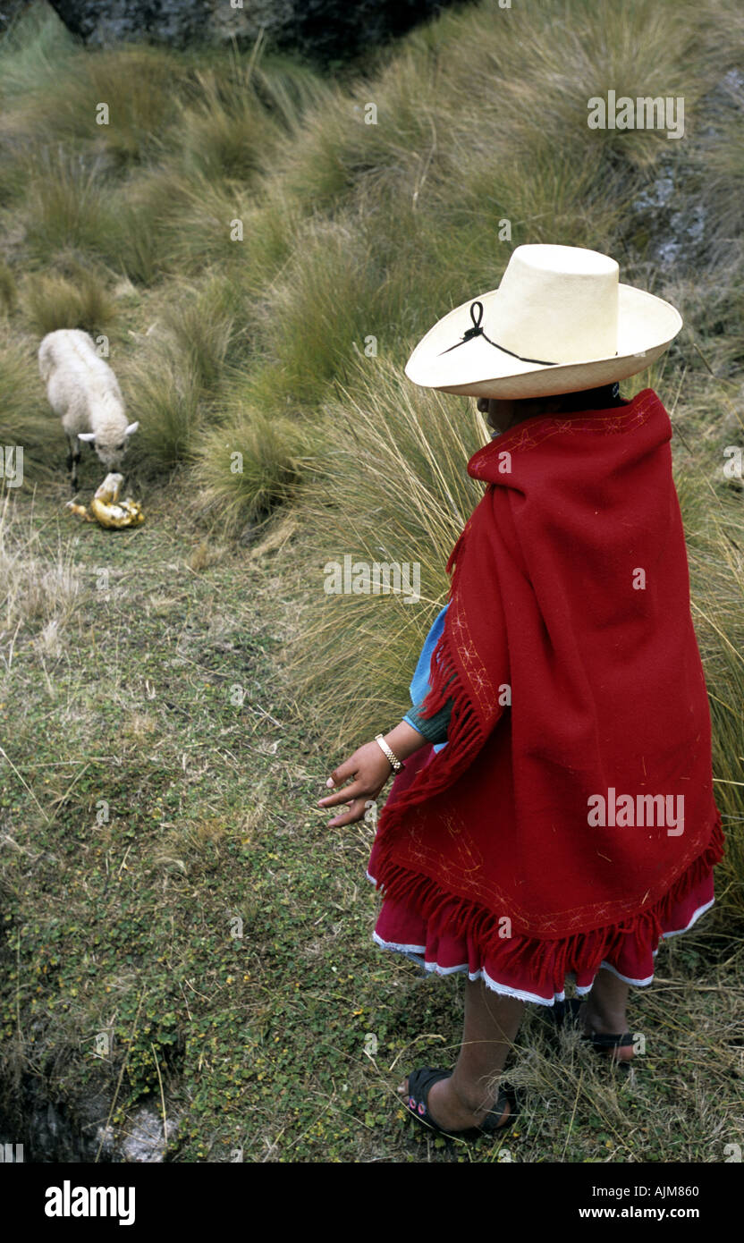 Peru Andes South America Latin America shepherd Stock Photo - Alamy
