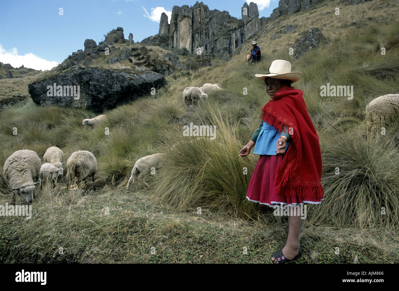 Peru Andes South America Latin America shepherd Stock Photo - Alamy