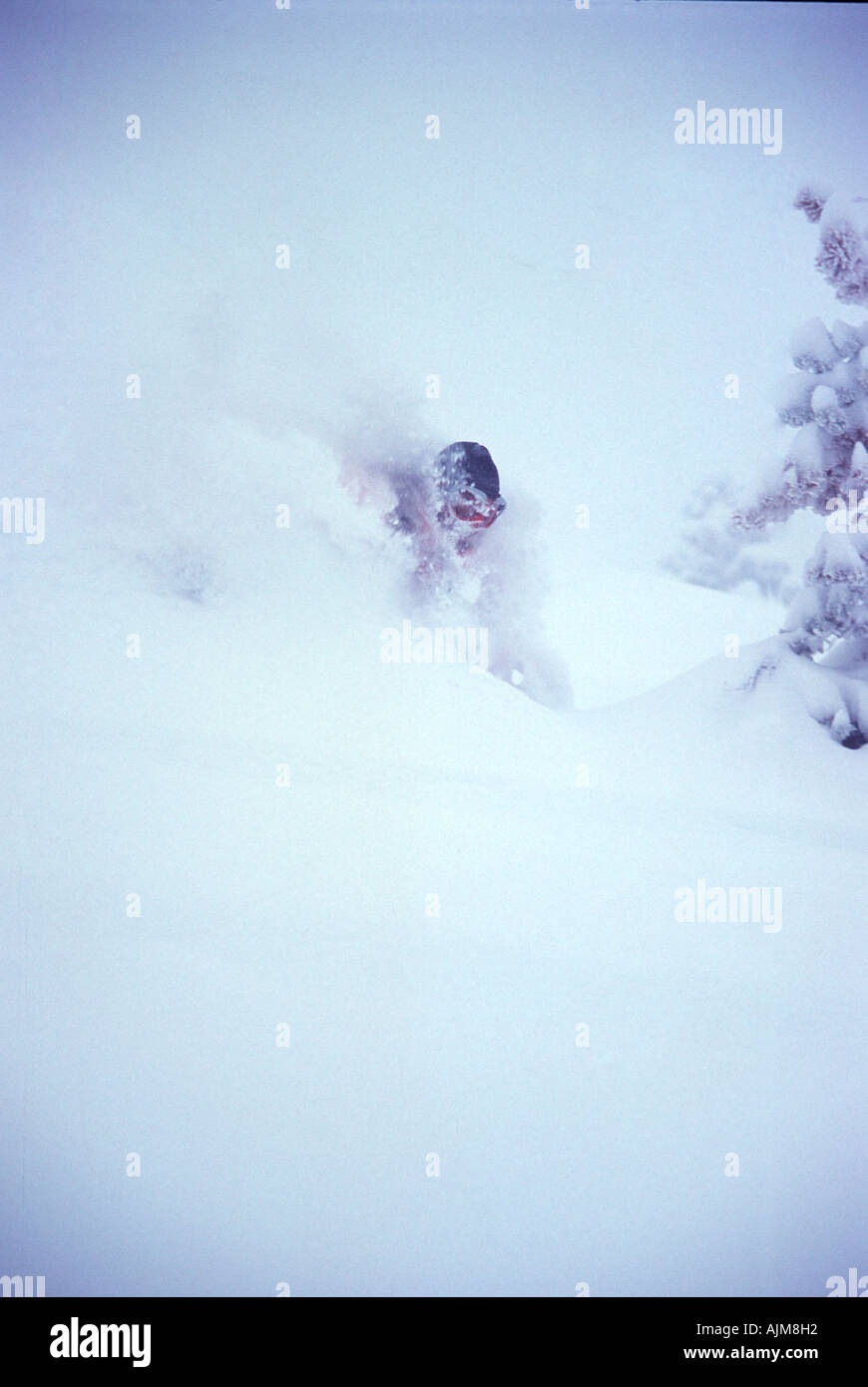 A man skiing powder at Alpine Meadows CA Stock Photo - Alamy
