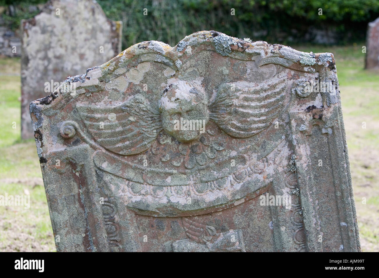 Lichen in dumfries hi-res stock photography and images - Alamy