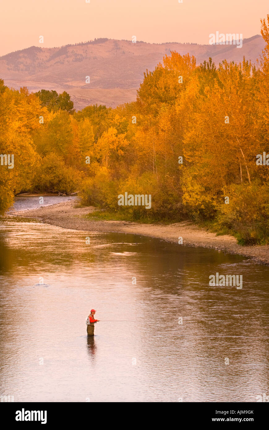 idaho boise man fisherman fishing water fall river Stock Photo - Alamy