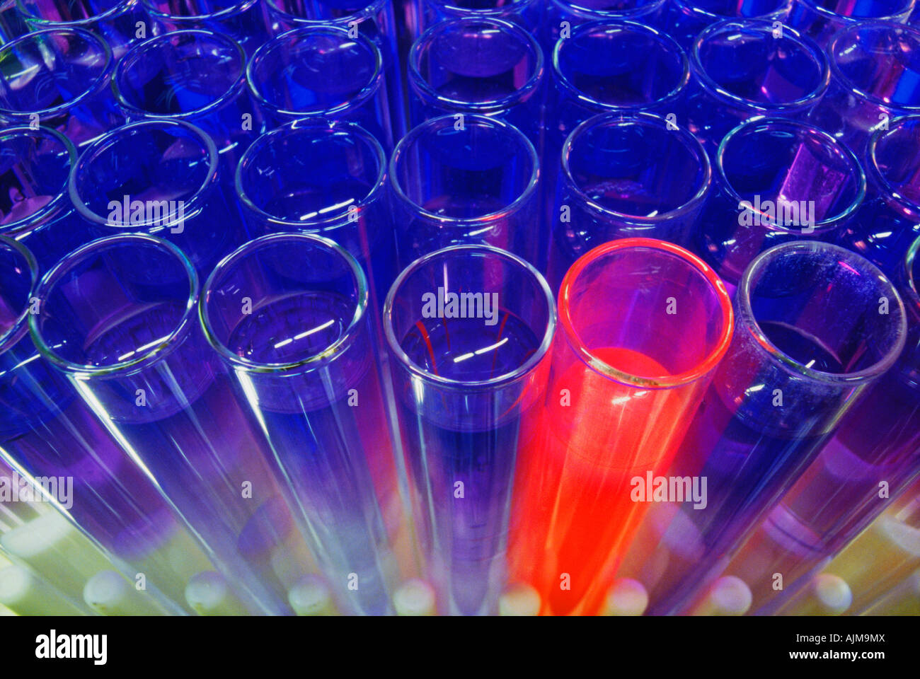 Test tubes in a test tube rack Stock Photo - Alamy