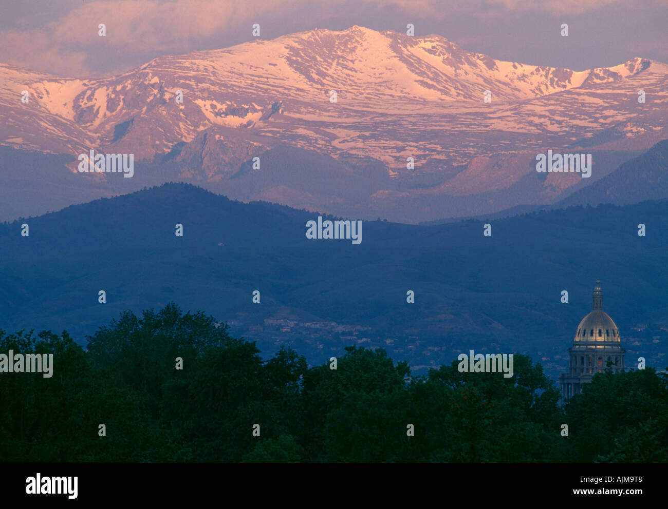 Gold domed capitol building peers from behind treetops outside of City ...