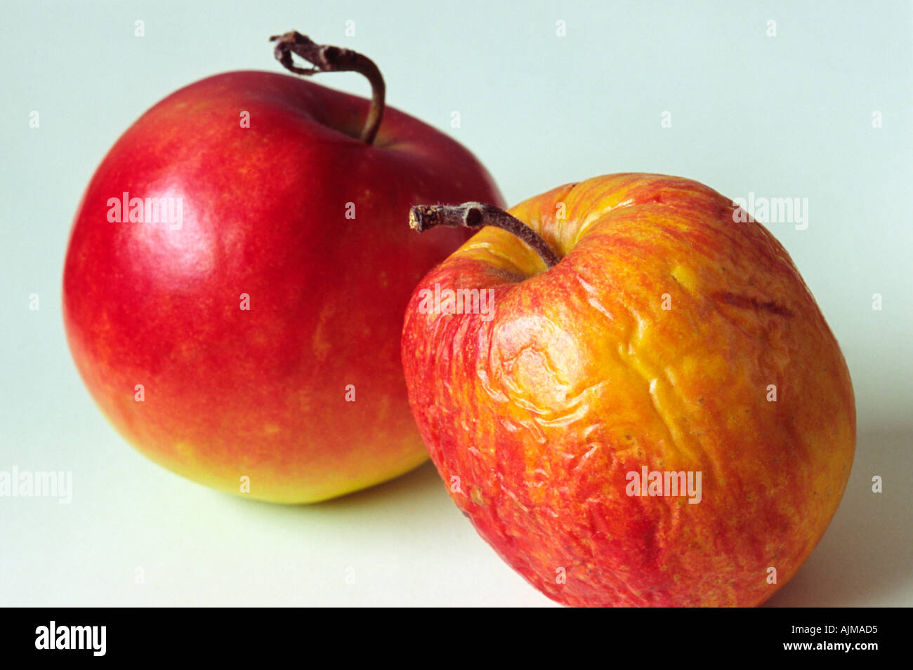 Wrinkly apple hi-res stock photography and images - Alamy