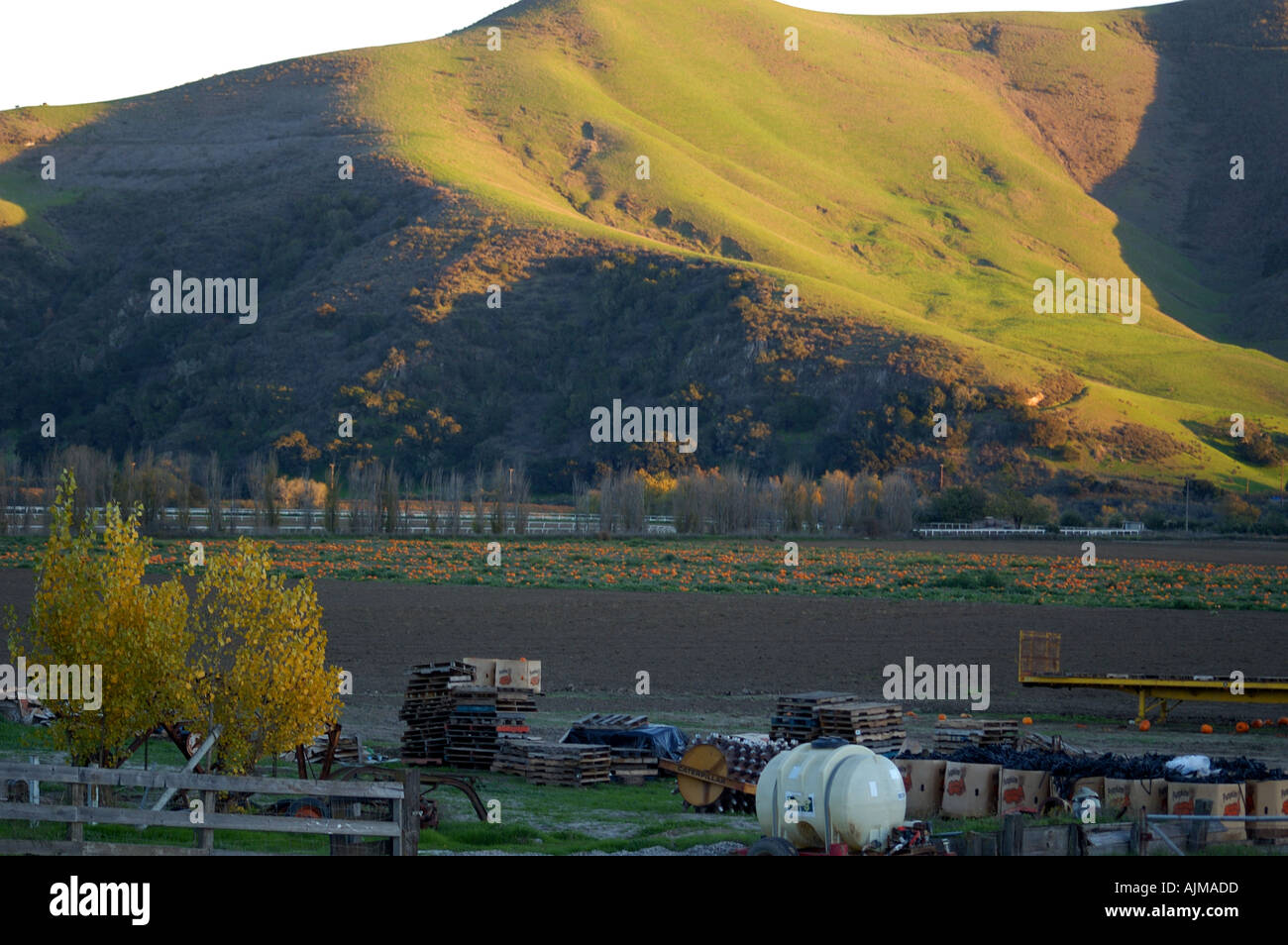 Buellton farm hi-res stock photography and images - Alamy