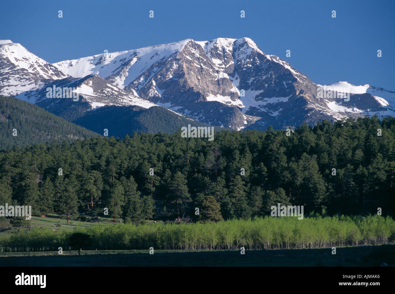 New forest national l park hi-res stock photography and images - Alamy