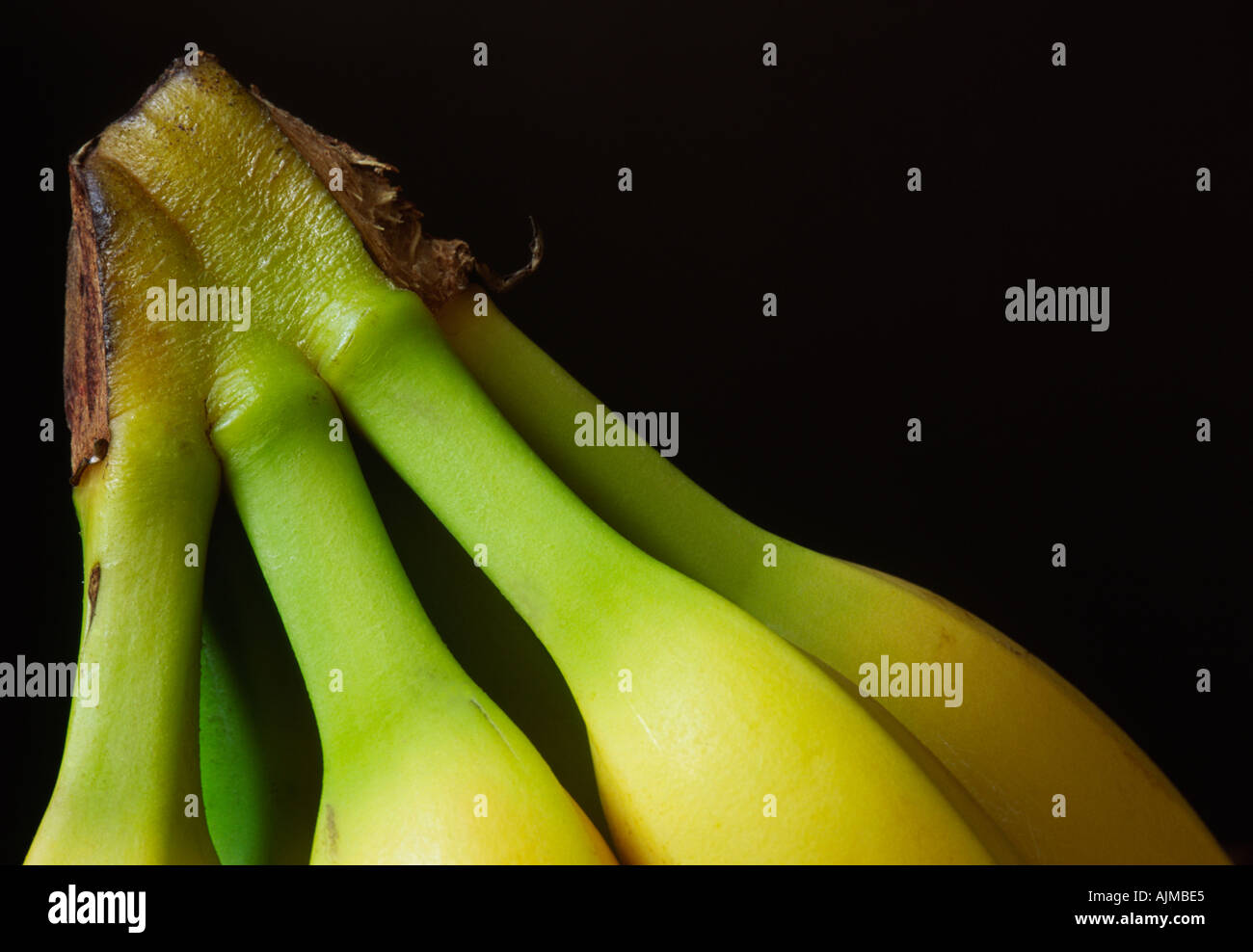 Banana stems hi-res stock photography and images - Alamy