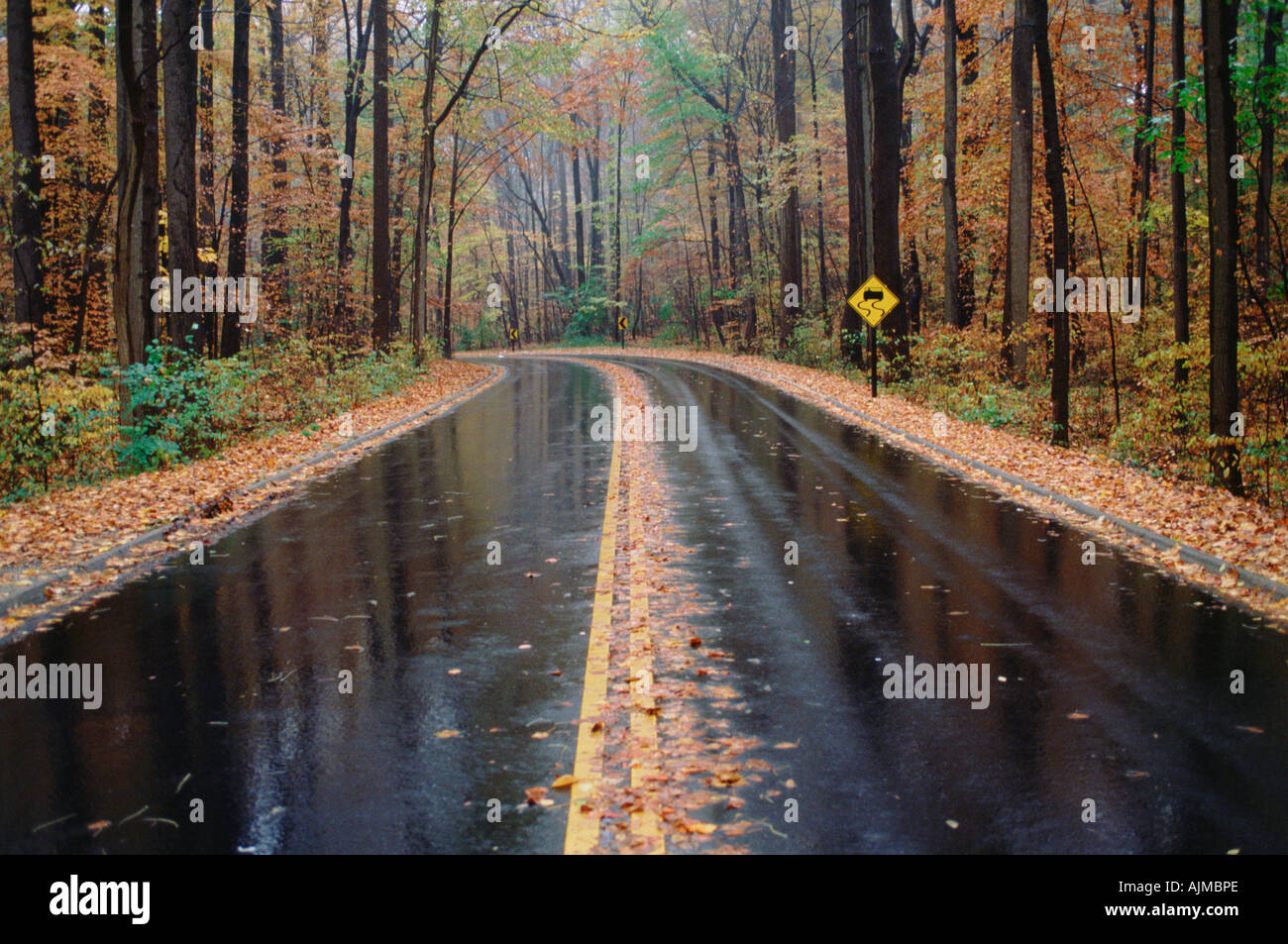 Rural road after a rain Stock Photo - Alamy