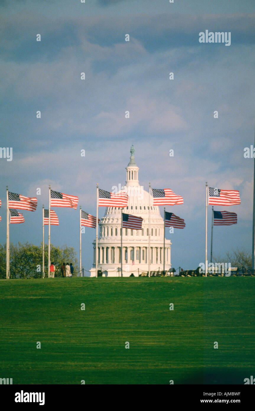Flags and Capitol Building Washington DC Stock Photo - Alamy