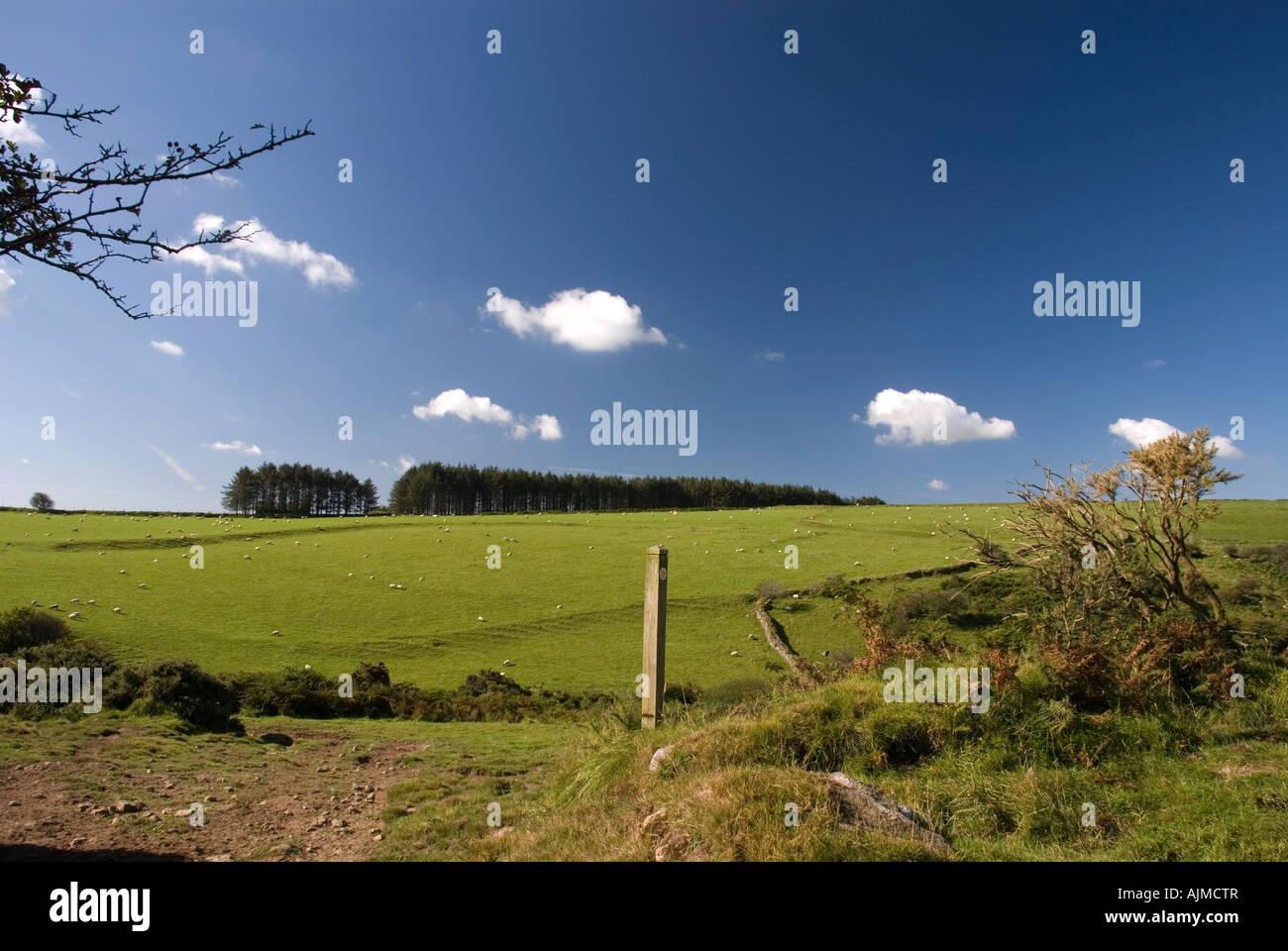 Fields near Camelford Cornwall and site of medieval village,Carweather ...