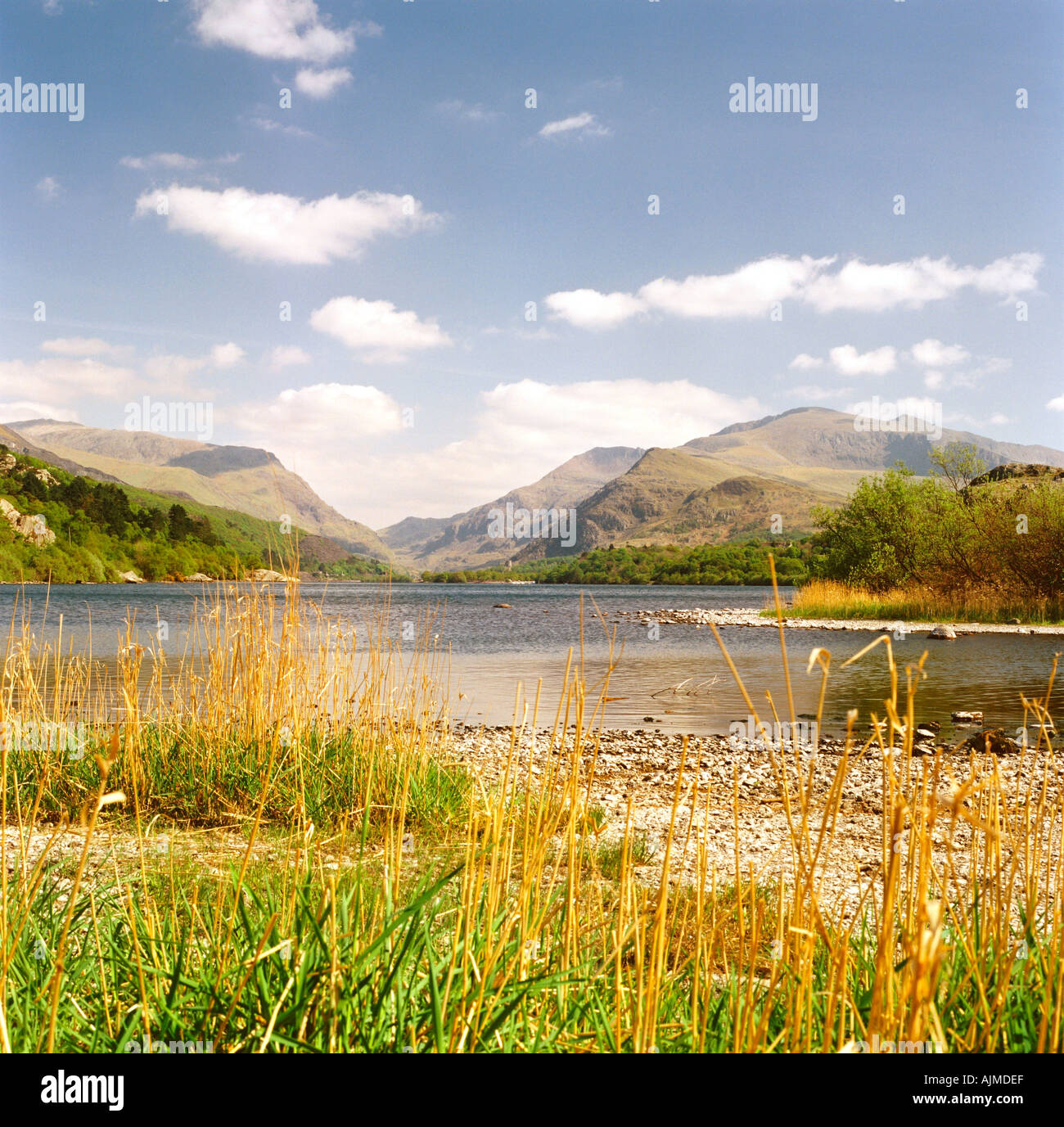 Summer view of Snowdon Llanberis Pass Llyn Padarn from Penllyn Bridge ...