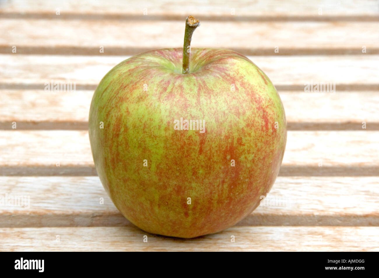 Single Jonagored Apple Malus Domestica Stock Photo - Alamy