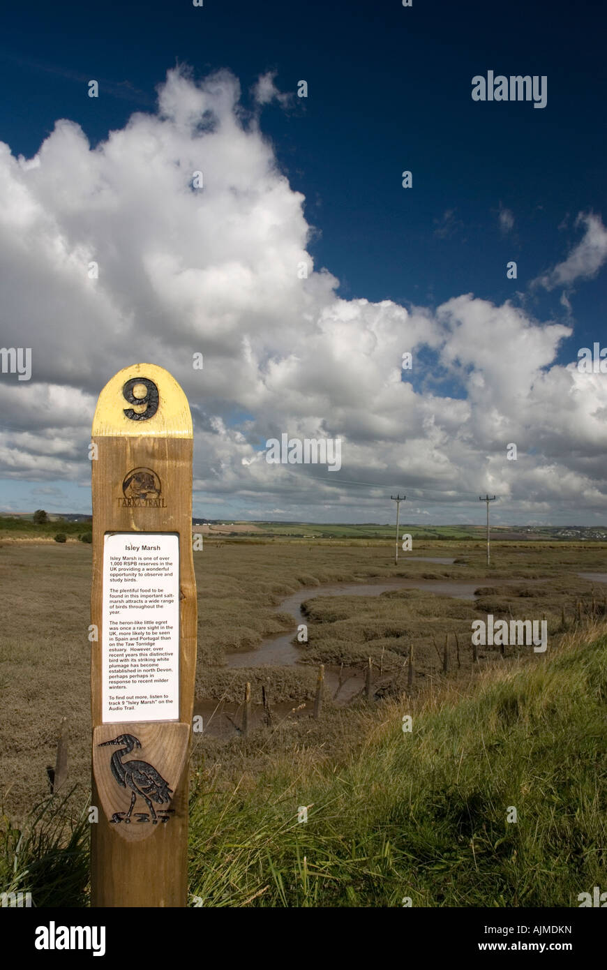 Isley Marsh by Tarka Trail near Barnstaple Stock Photo - Alamy