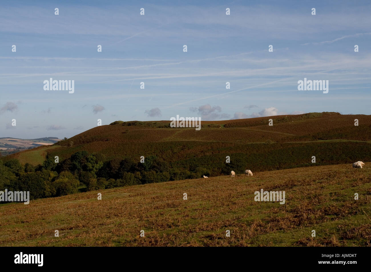Earthwork bank hi-res stock photography and images - Alamy